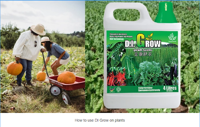 Four methods to apply DI Grow Green fertilizer on plants and vegetable ...